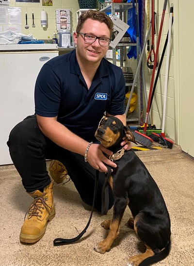 Palmerston North Centre