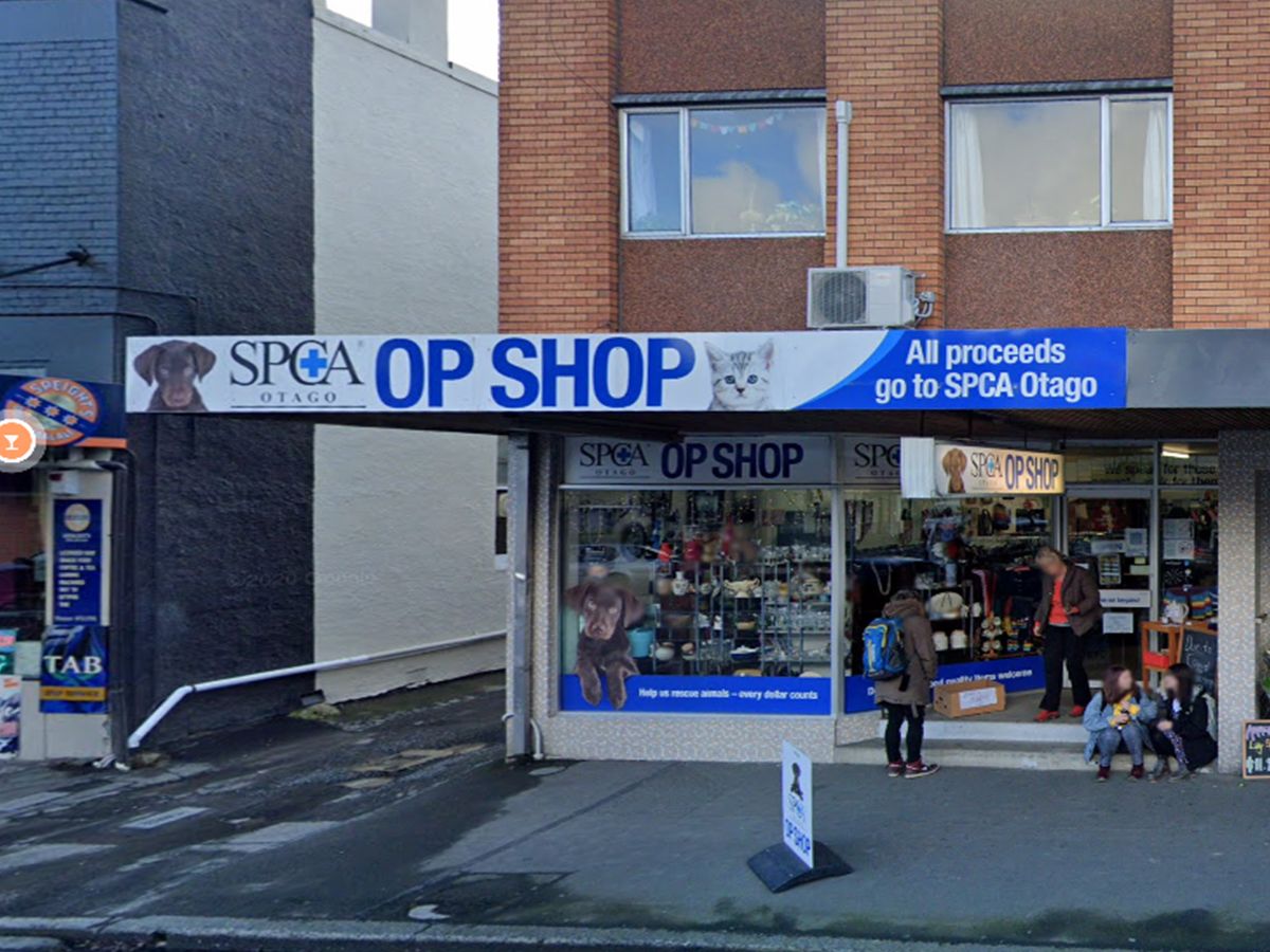 Dunedin Op Shop • SPCA New Zealand