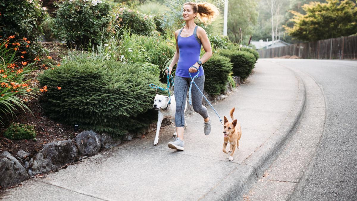 Event: Round the Bays Auckland 2023 • SPCA New Zealand