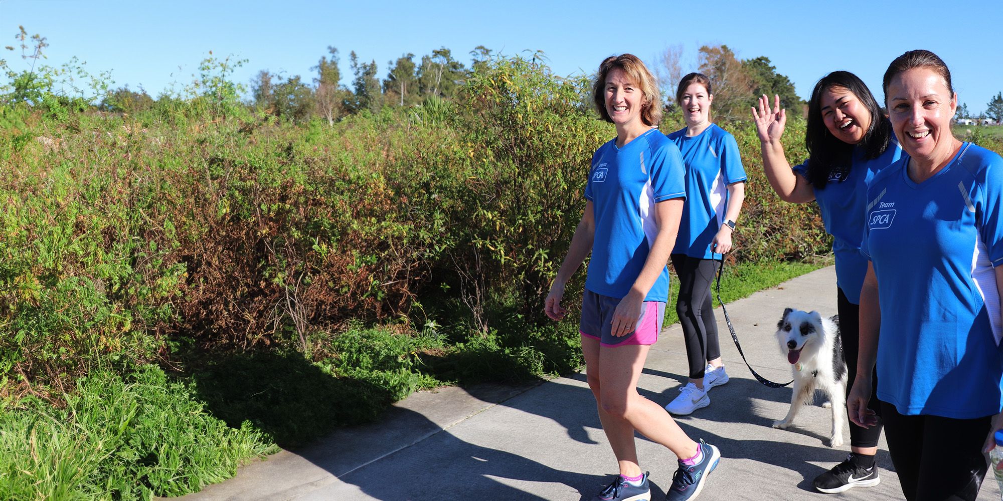 SPCA New Zealand • Let's give them a better life